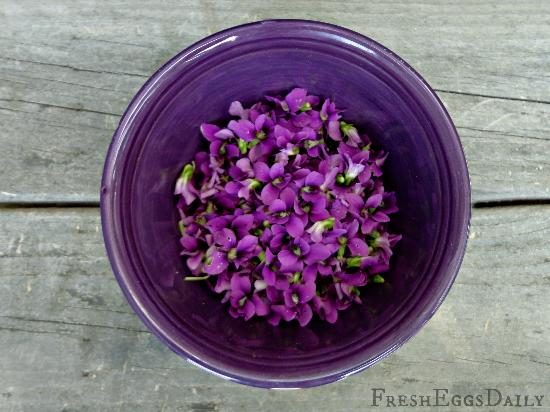 Make your own Violet Soda from your Garden - Grit